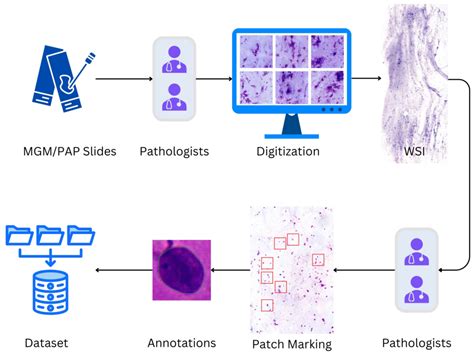 논문 리뷰 A Cytology Dataset For Early Detection Of Oral Squamous Cell Carcinoma
