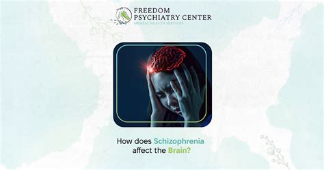 How Does Schizophrenia Affect The Brain
