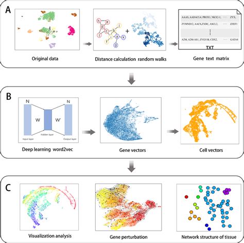 ScRNA Seq Data Processing And Analysis Pipeline Using Natural Language Download Scientific