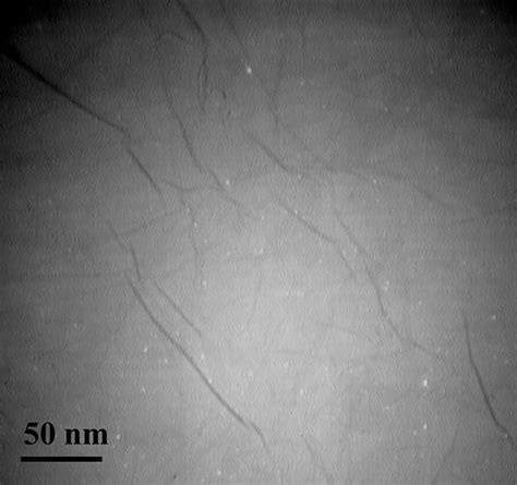 Graphene Oxide Nanosheet Images By Transient Electron Microscope Download Scientific Diagram
