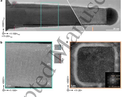 Structural Characterization Of Sige Branches A Stitched Hrtem Images Download Scientific