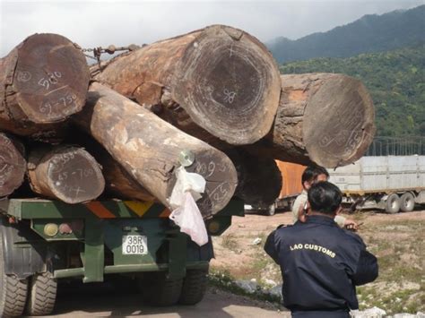 Robust Borders Only A Part Of The Answer To Illegal Logging Eia