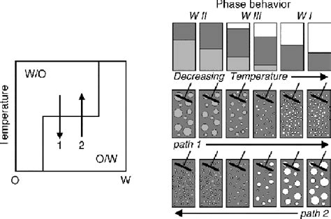 Fig Phase Behavior At Equilibrium And Emulsion Transitional Inversion Download Scientific