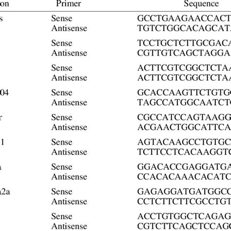 Pcr Primer Sequences For Validation Of Microarray Results Download Table