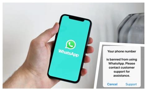 WhatsApp SMEX
