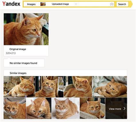 10 Years Of Neural Network Evolution In Yandex Search From Image