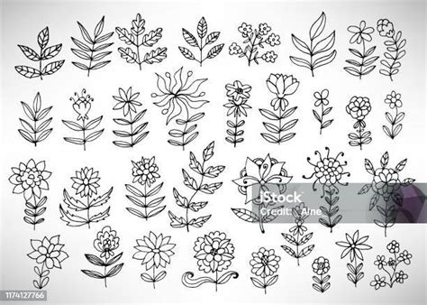 손으로 그린 얇은 라인 검은 지저분한 낙서 꽃 아이콘 가지 식물 꽃잎 판타지 꽃의 큰 세트 디자인 요소 컬렉션은 흰색으로 격리되었습니다 벡터 그림입니다 엉겅퀴류에 대한 스톡