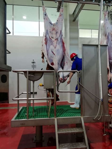 Мах махан бүтээгдэхүүний үйлдвэрлэл хадгалалт Мөрөн Агро ХХК