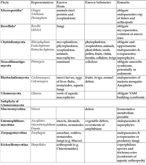 Fungi Examples List Fungi Examples List