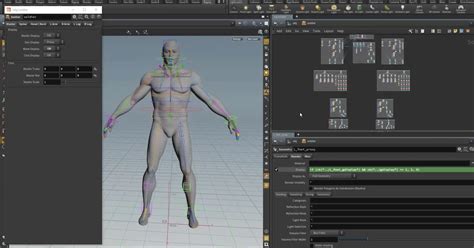 Tutorial Rigging A Human Character In Houdini