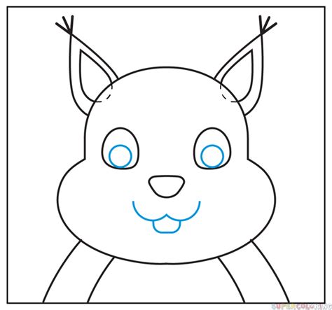 How To Draw A Squirrel Portrait Super Coloring