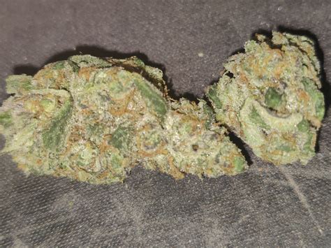 Flow Gardens Tang R Cultofthefranklin