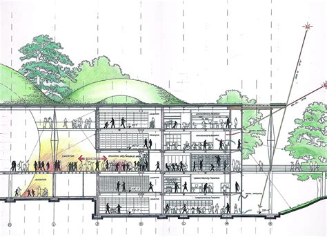 Galería De Academia De Ciencias De California Renzo Piano Building