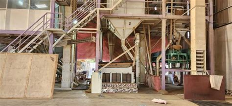 Seed Grader Multi Purpose Cleaning And Grading For Industrial At ₹ 650000 Piece In Rajkot