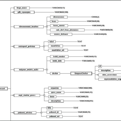 The Opm Multidatabase System Architecture Underlying Tinet Download Scientific Diagram