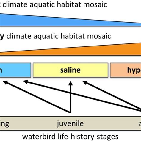 Hydro Climatic Relationships In Dry Systems Associations Of Climate