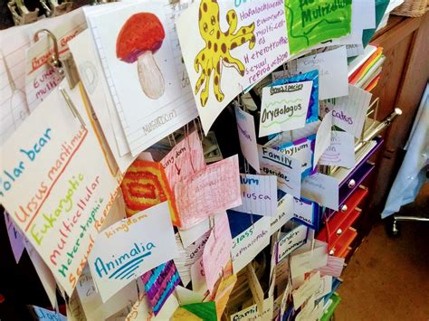 Classifying Organisms Teaching Taxonomic Classification Sockmonkey