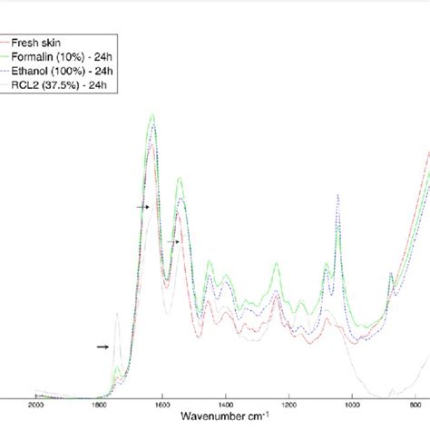 Fourier Transform Infrared Spectra Of Fresh Skin T 0 And Skins Fixed T Download Scientific