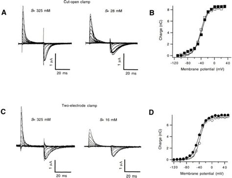 Extracellular Effect Of Low Ionic Strength Solutions On Charge