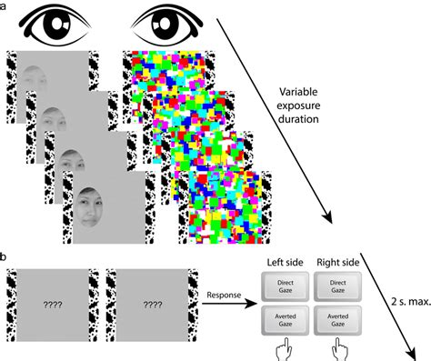 Schematic Description Of A Trial In Experiment 2 A Stimulus Download Scientific Diagram