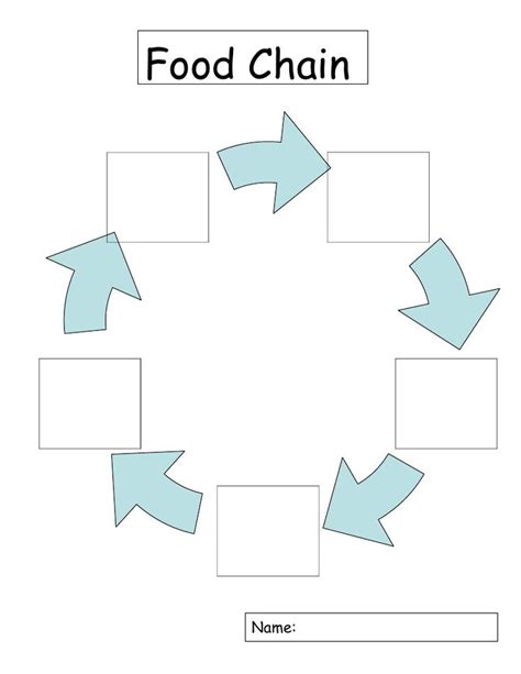 Food Chain Graphic Organizer Pdf Foods Graphic Organizers Food Chain Worksheet Food Chain