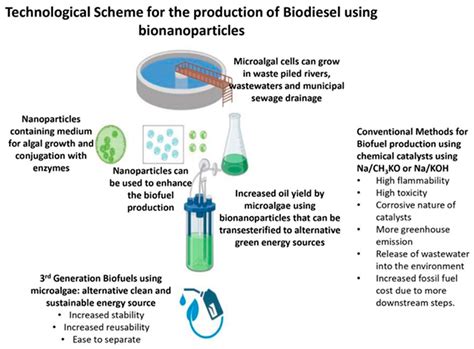 Bio Nanoparticles Mediated Transesterification Of Algal Biomass