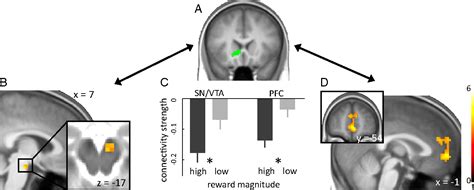 Figure 1 From Adaptive Coding Of Reward Prediction Errors Is Gated By