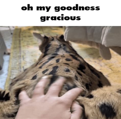 Oh My Goodness Gracious R Sogga