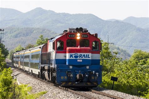 낭만·휴양·재미·추억··· 골라 타는 맛 기차네