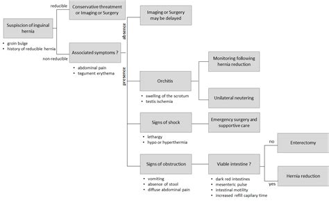 Inguinal Hernia Classification Management Teachmesurg