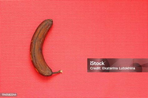 검은 바나나 버 릇 밝은 빨간색 배경 팝 아트에 썩은 바나나 하나의 버 릇 없는 검은 바나나 텍스트의 공간을 복사 합니다 최신 유행의 버 릇 없는 유기농 과일이미지 0명에