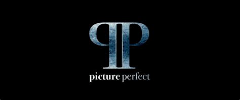Picture Perfect Audiovisual Identity Database