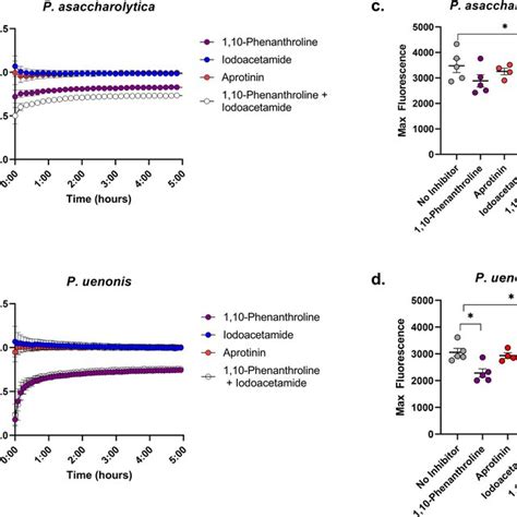 Vaginal Porphyromonas Protease Types Display Type I And Type Iv