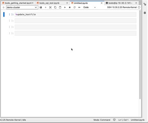 Bodo Platform Basics Bodo Developer Documentation