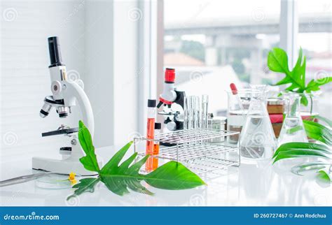 Background Of Laboratory Class In Studio At School With Microscope