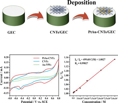 Ptau‐carbon Nanotubeglassy Carbon Electrode Composite Based