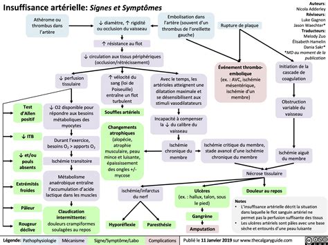 Insuffisance Artérielle Calgary Guidecalgary Guide