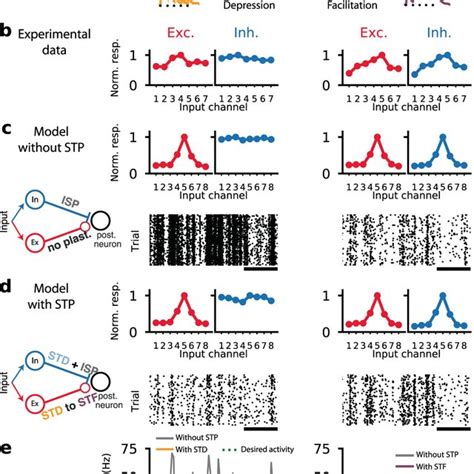 A Feedfoward Cortical Circuit With Short Term Synaptic Plasticity