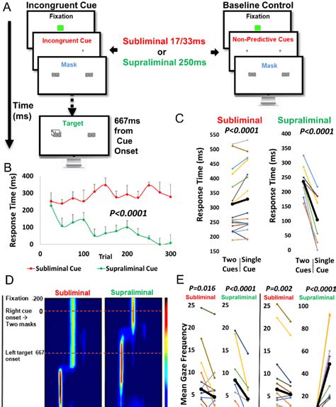 Spatial Cueing Paradigm In Humans A Illustration Of The Experimental Download Scientific