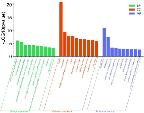 Enrichment Bar Chart Showing Distributional Status Of The Go