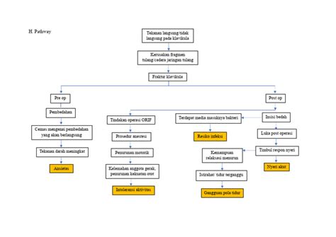 Pathway Fraktur Klavikula Pdf
