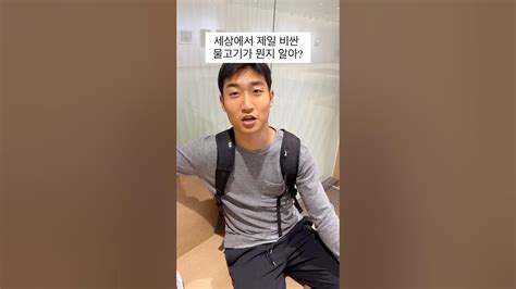 세상에서 제일 비싼 물고기 Youtube