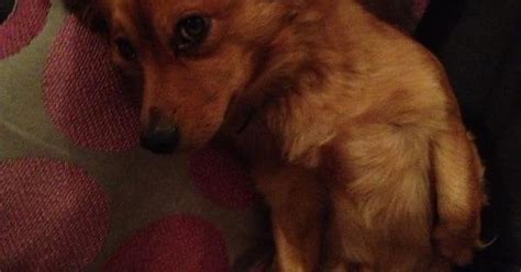 Ashley Hames Just Shared This Pic On Fb Teddys Been Watching Internet Porn Again R Pics