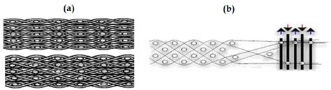 Multiaxis Three Dimensional 3d Woven Fabric Intechopen