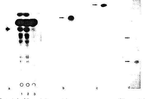 Figure 2 From Sexual Patterns Of Monooxygenase Function In The Liver Of Marine Teleosts And The
