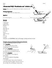 DNA Visualization And Isolation Lab Doc Name Date Period Chromosomal DNA Visualization And