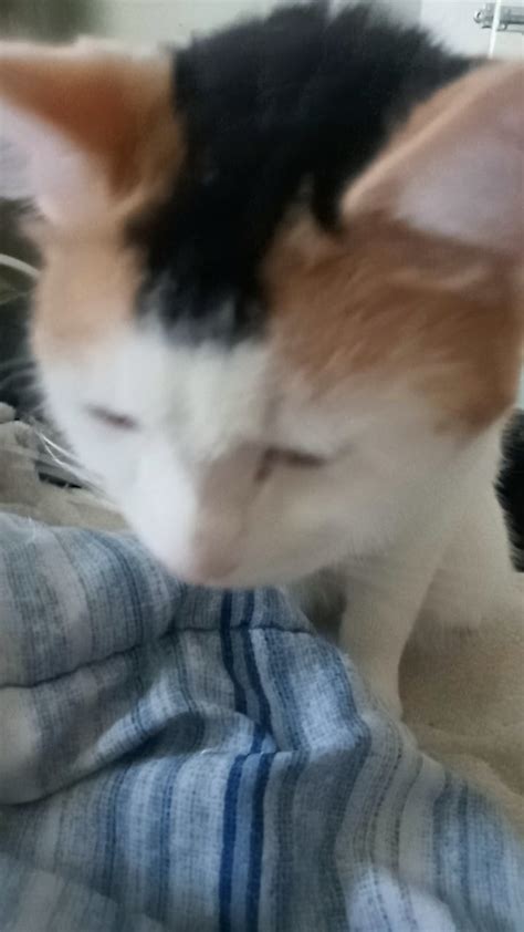 I Cant Believe Ive Had Her For Almost A Year Now I Love Her So Much R