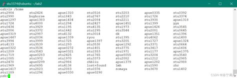 【1】linux 命令环境下 C 语言实践用 Cc构造一个简单的 Shellc模拟shell Csdn博客