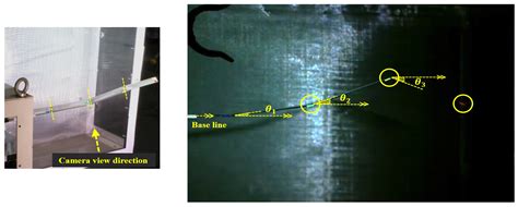 Coupled Aerodynamics Structure Analysis And Wind Tunnel Experiments On Passive Hinge Oscillation
