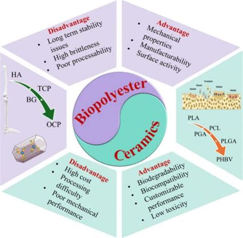 3d打印生物基及可生物降解聚酯 陶瓷复合材料的研究进展：在骨组织工程中的应用与挑战 Acs Applied Materials And Interfaces X Mol